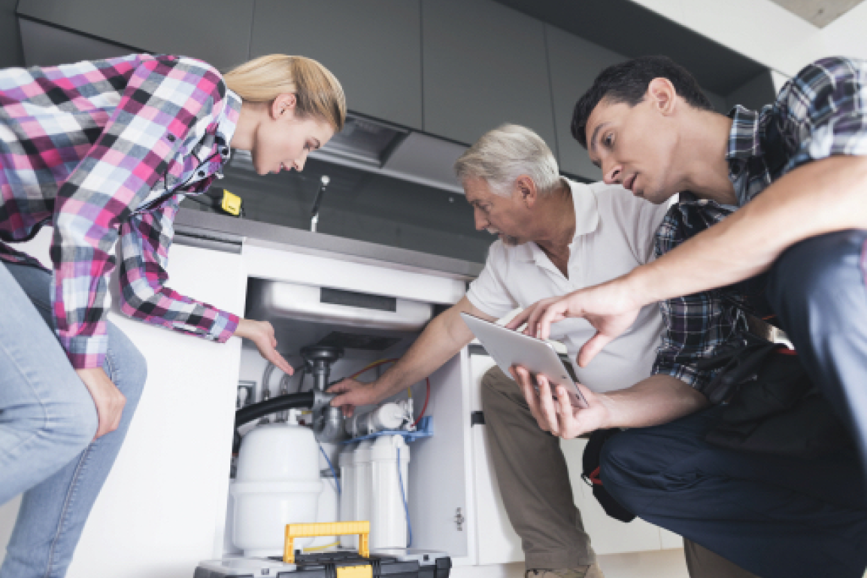 PipeDreams | Homepage